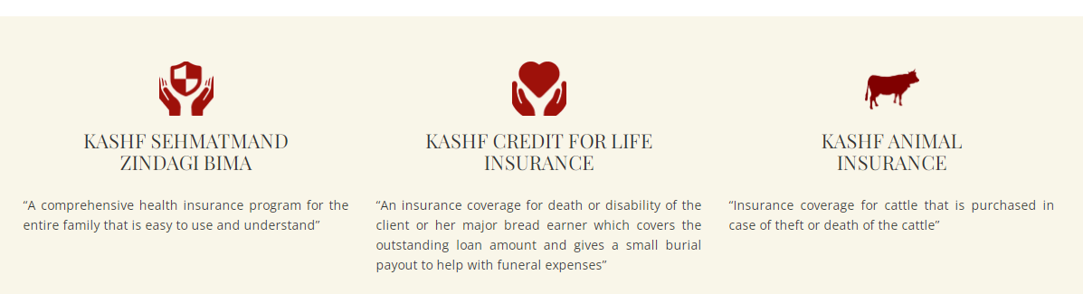 Micro-Insurance: 3 Types Of Kashf Foundation Insurance 2025