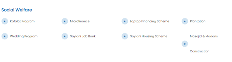 Top 7 Social Welfare Projects Of Saylani Welfare Trust 2025