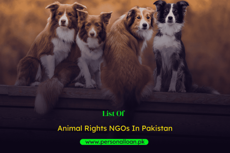 List Of NGOs In Pakistan 2025 {Human+Animals+Charity}