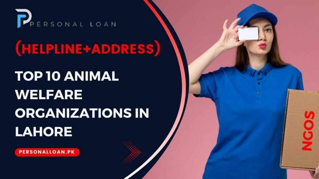 10 Animal Welfare Organizations In Lahore (Helpline+Address)